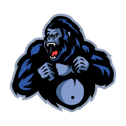Silverback Gorilla Roaring