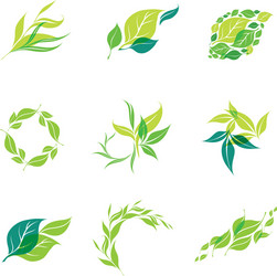 Abstract green leaf isolated icons design set Vector Image