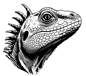 Chameleon reptile sketch hand drawn Royalty Free Vector