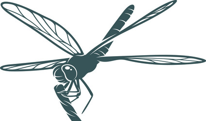 Dragonfly Vector Images (over 14,000)