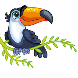 Flash toucan Royalty Free Vector Image - VectorStock