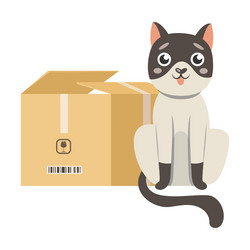 Cute Cat Under Cardboard Box Royalty Free Vector Image, 53% OFF