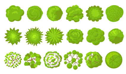 Palm Tree Plan View Vector Images (over 180)