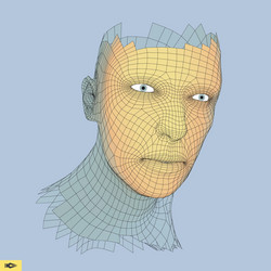 Biometric Face Grid Vector Images (over 270)