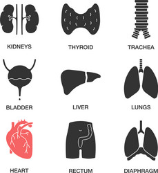 Internal Vector Images (over 410,000)