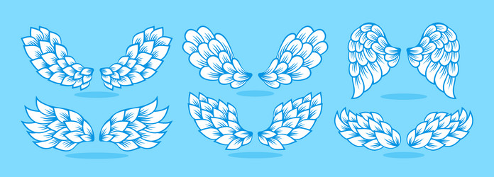 Wing icon line doodle set sign winged logo Vector Image