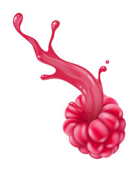 Raspberry juice Royalty Free Vector Image - VectorStock