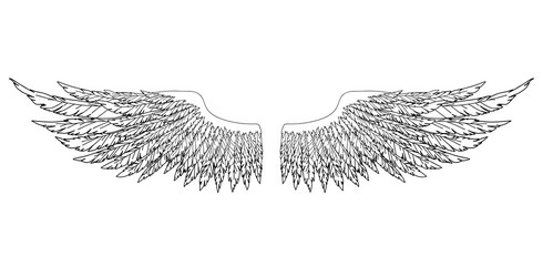 Wings drawing Royalty Free Vector Image - VectorStock