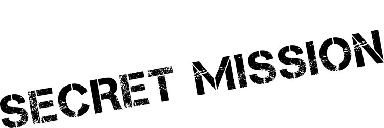 Secret mission red rubber stamp on white Vector Image