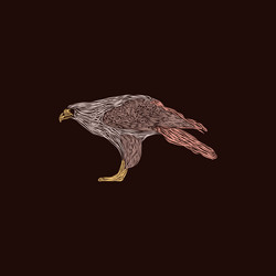 Raptor claw scary artwork design Royalty Free Vector Image