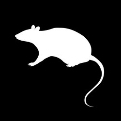 Flat Rat in Vector Images (over 4,300)