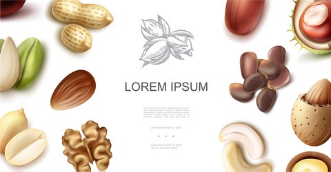 Realistic fresh nuts template Royalty Free Vector Image