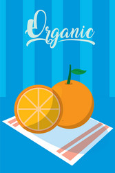 Orange citric cartoon Royalty Free Vector Image