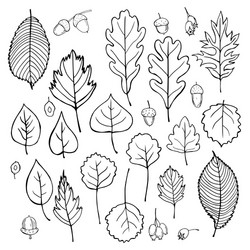 Folha Vector Images (38)