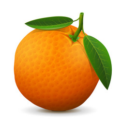 Single Orange Fruit Vector Images (over 4,900)