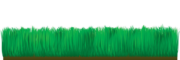 Border Grassy Grass Vector Images (91)