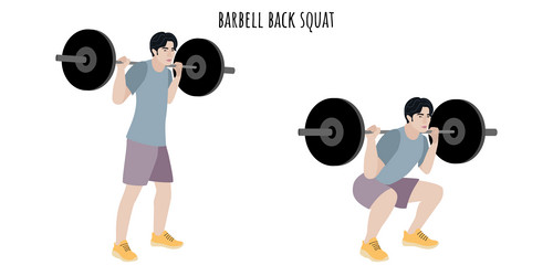 Young man doing barbell back squat exercise Vector Image