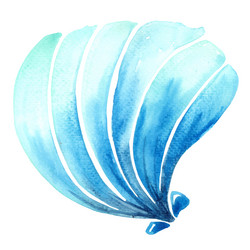 Watercolor Shell Vector Images (over 1,900)