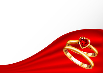 Wedding rings background Royalty Free Vector Image