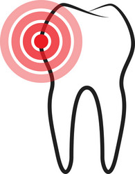 Engraving tooth structure Royalty Free Vector Image