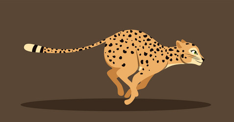 Cute running leopard Royalty Free Vector Image