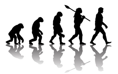 Silhouette of theory of evolution of man Vector Image