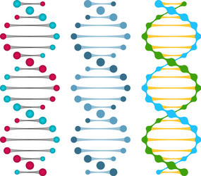 Protein Strand Vector Images (54)