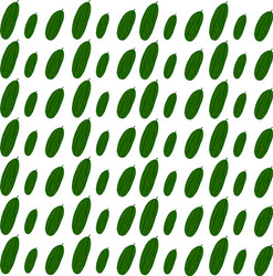 Hibiscus wallpaper on white background Royalty Free Vector
