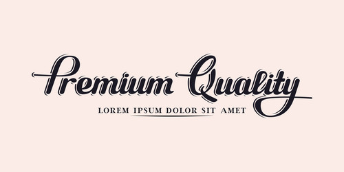 High quality and premium hand written typography Vector Image