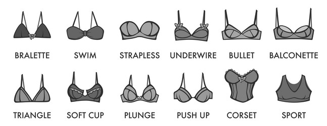 Bras Types Bra Vector Images (over 340)