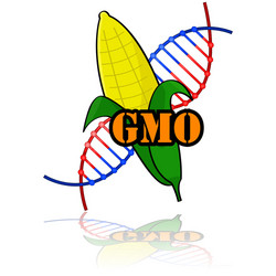 Genetically modified food and agriculture crop Vector Image
