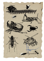 Micro Vector Images (over 68,000)