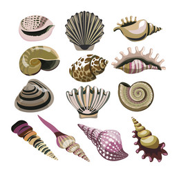 Sea shells seashell silhouettes set Royalty Free Vector