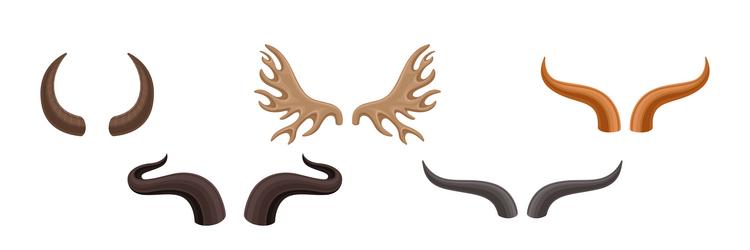 Different horns as pointed bony animal head part Vector Image