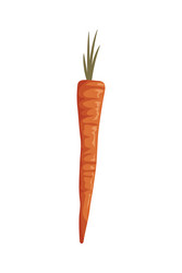 Carrot root vegetable cartoon Royalty Free Vector Image