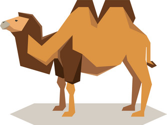Detailed flat icon of egyptian camel Royalty Free Vector