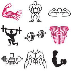 Muscle Vector Images (over 120,000)