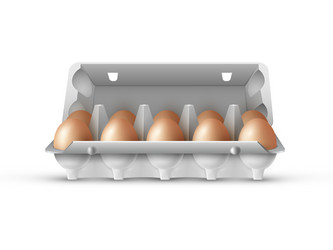 Empty Egg Box Vector Images (over 220)