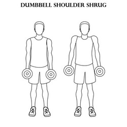 Dumbbell shoulder shrug exercise strength workout Vector Image