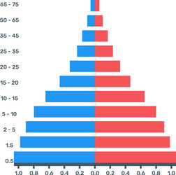 Population Pyramid Vector Images (over 230)