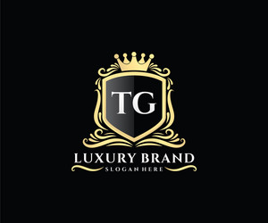 Tg initial letter gold calligraphic feminine Vector Image