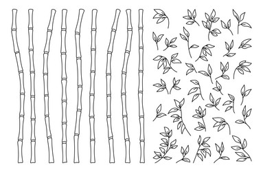 Bamboo stem leaf silhouette borders set exotic Vector Image