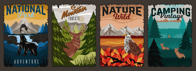 Nature sceneries colorful vintage posters Vector Image