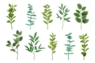 Greenery Vector Images (over 50,000)