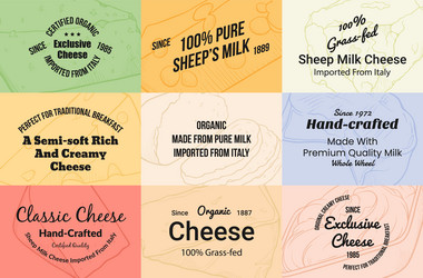 Cheese Infographic Poster