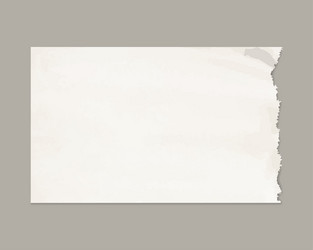 Torn paper real brown paper or ripped pieces Vector Image