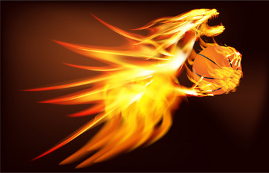 Fire dragon wings Royalty Free Vector Image - VectorStock