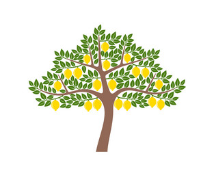 Lemon Tree Logo Vector Images (over 490)