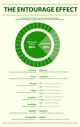 Entourage Vector Images (over 660)