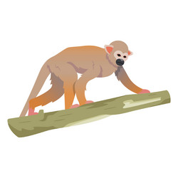 Common squirrel monkey silhouette Royalty Free Vector Image